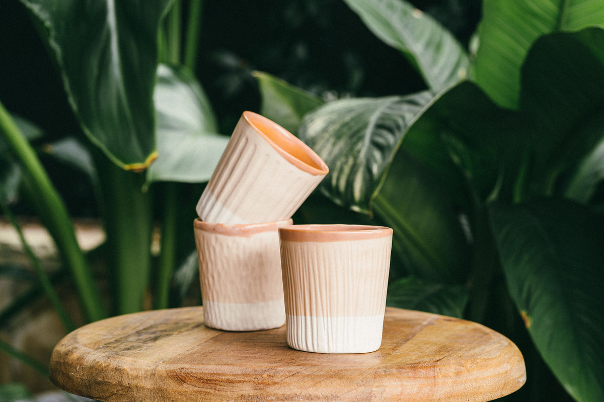 The Visionary | MOA Coffee Co